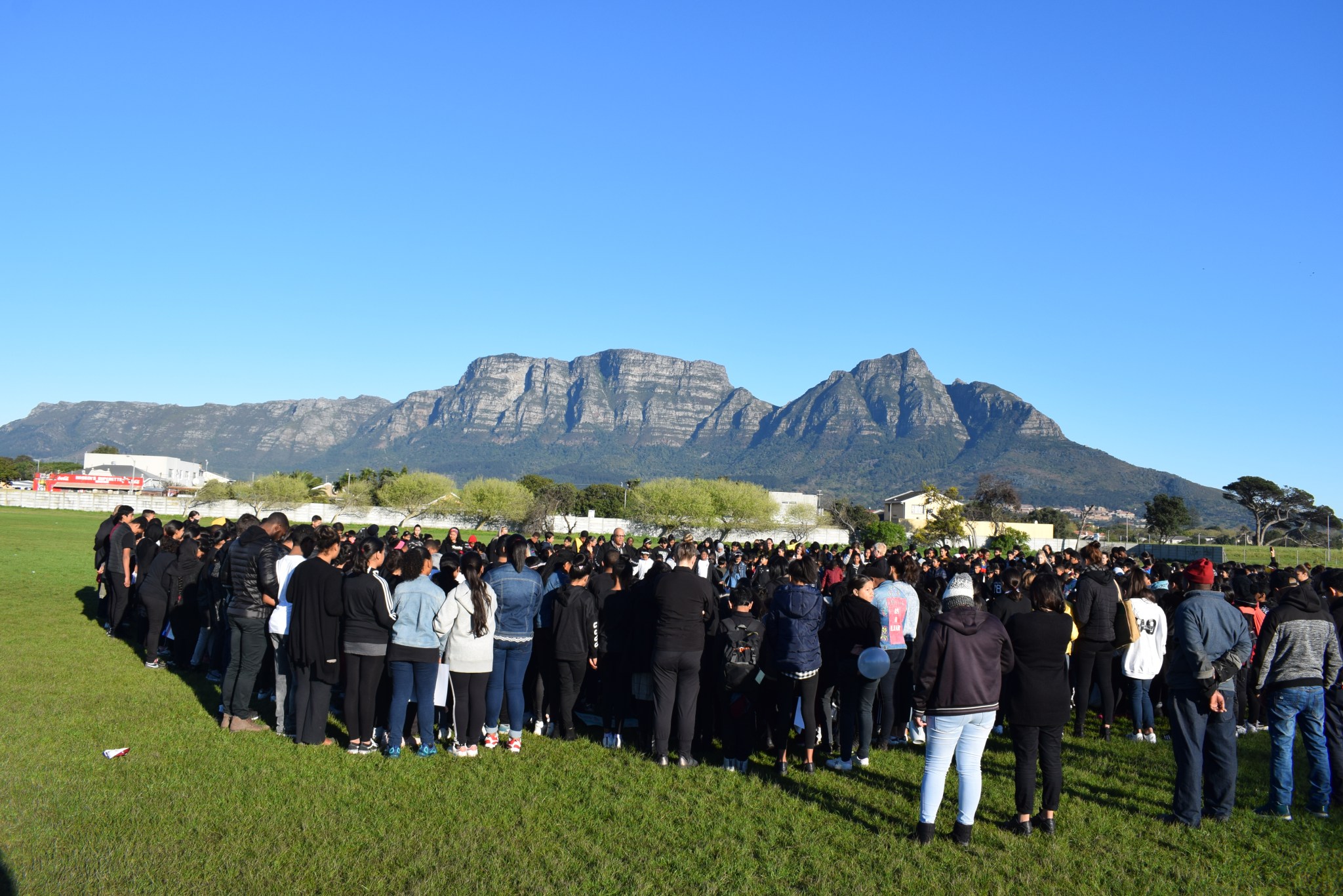Arbor Day- Trees – Rondebosch East Primary School