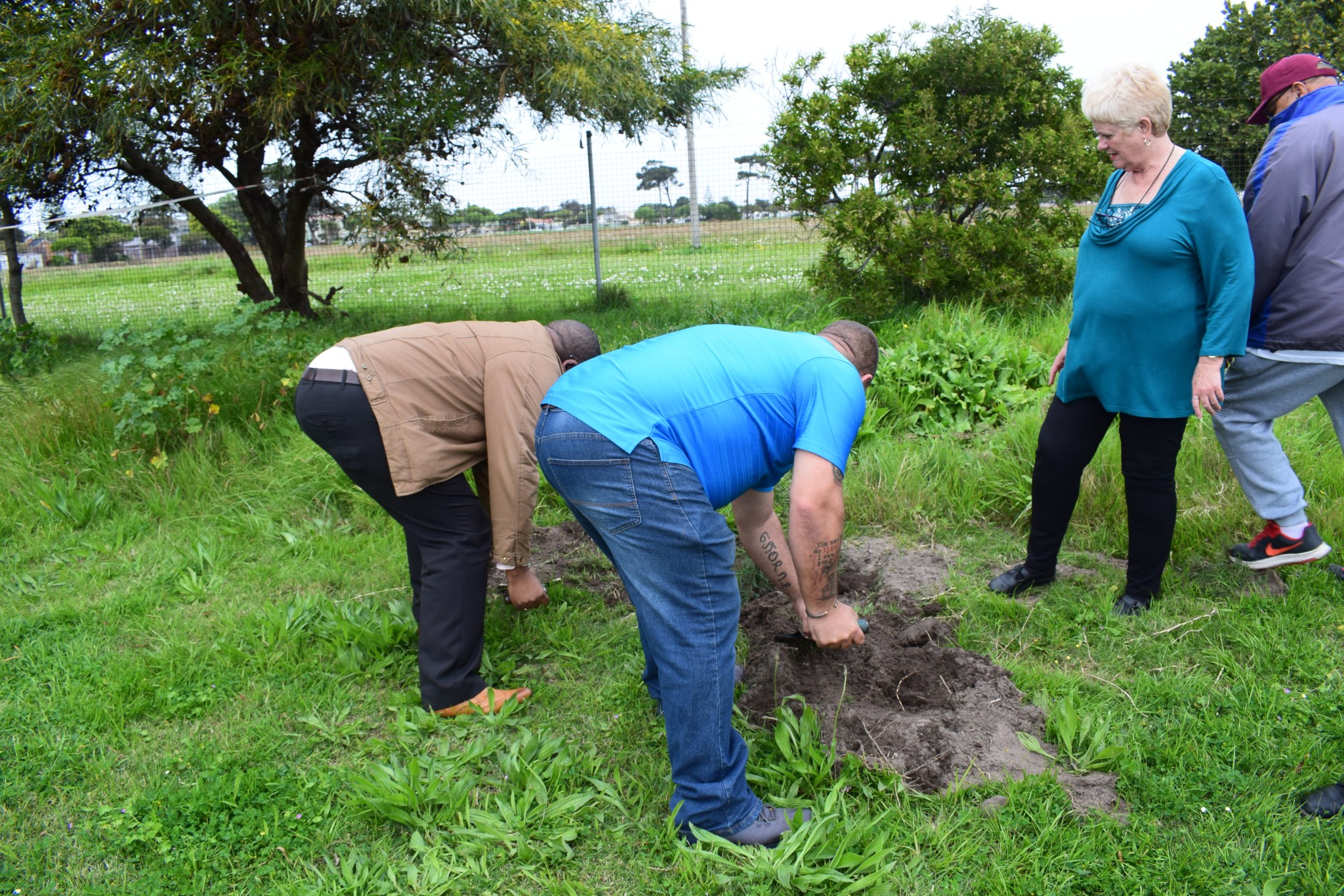 Arbor Day- Trees – Rondebosch East Primary School